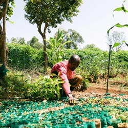 Sustainability | Zurich Corporate Risk