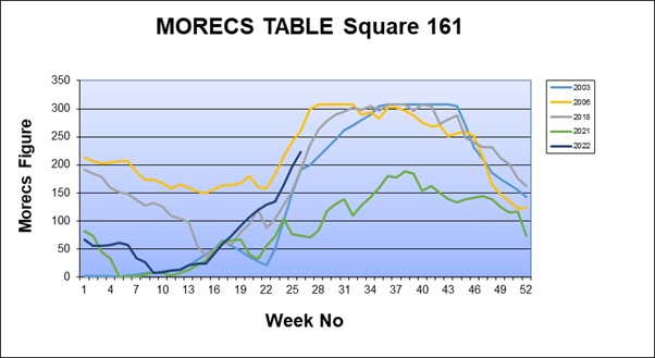 An in-depth look at subsidence