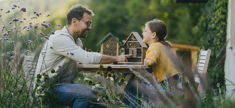 Supporting biodiversity at your allotment