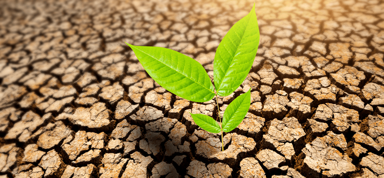 Global warming vs. climate change: Why we all need to understand the ...